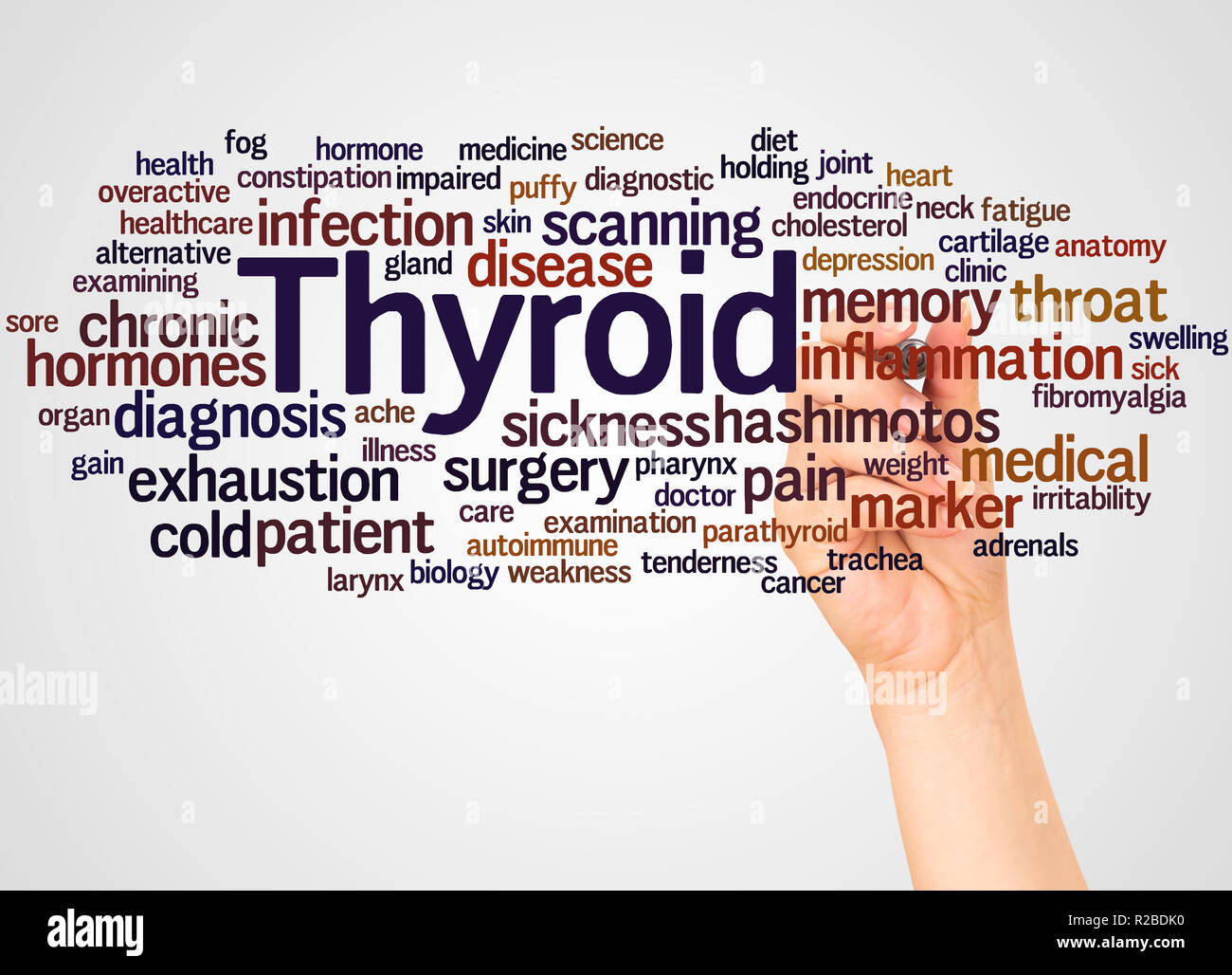Thyroid word cloud and hand with marker concept on white background ...