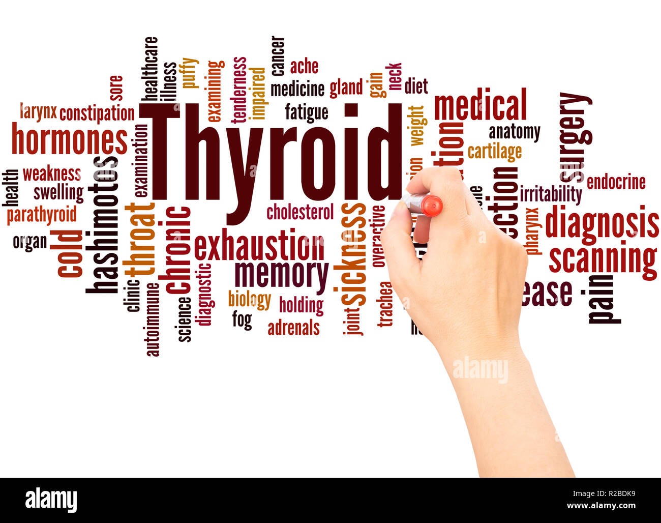 Thyroid word cloud hand writing concept on white background Stock Photo ...