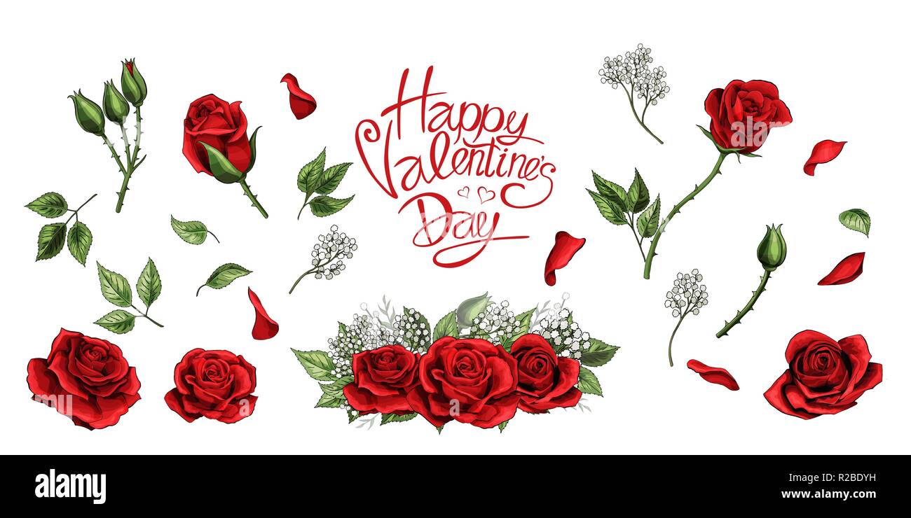 Red roses hand drawn illustration elements colored set Stock Vector ...