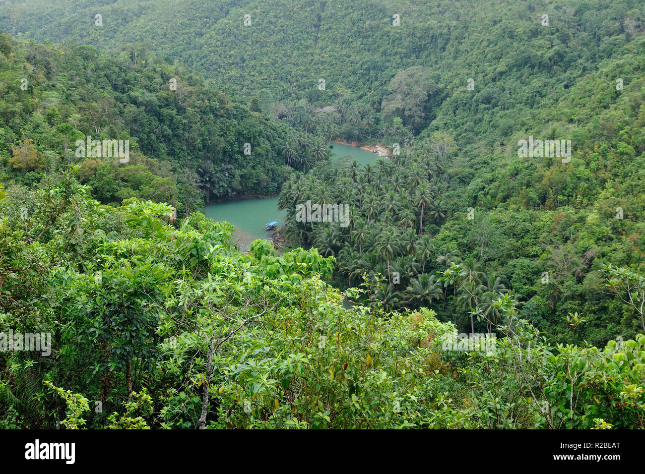 A small river wanders through the jungle, Bohol, Phillipines Stock ...