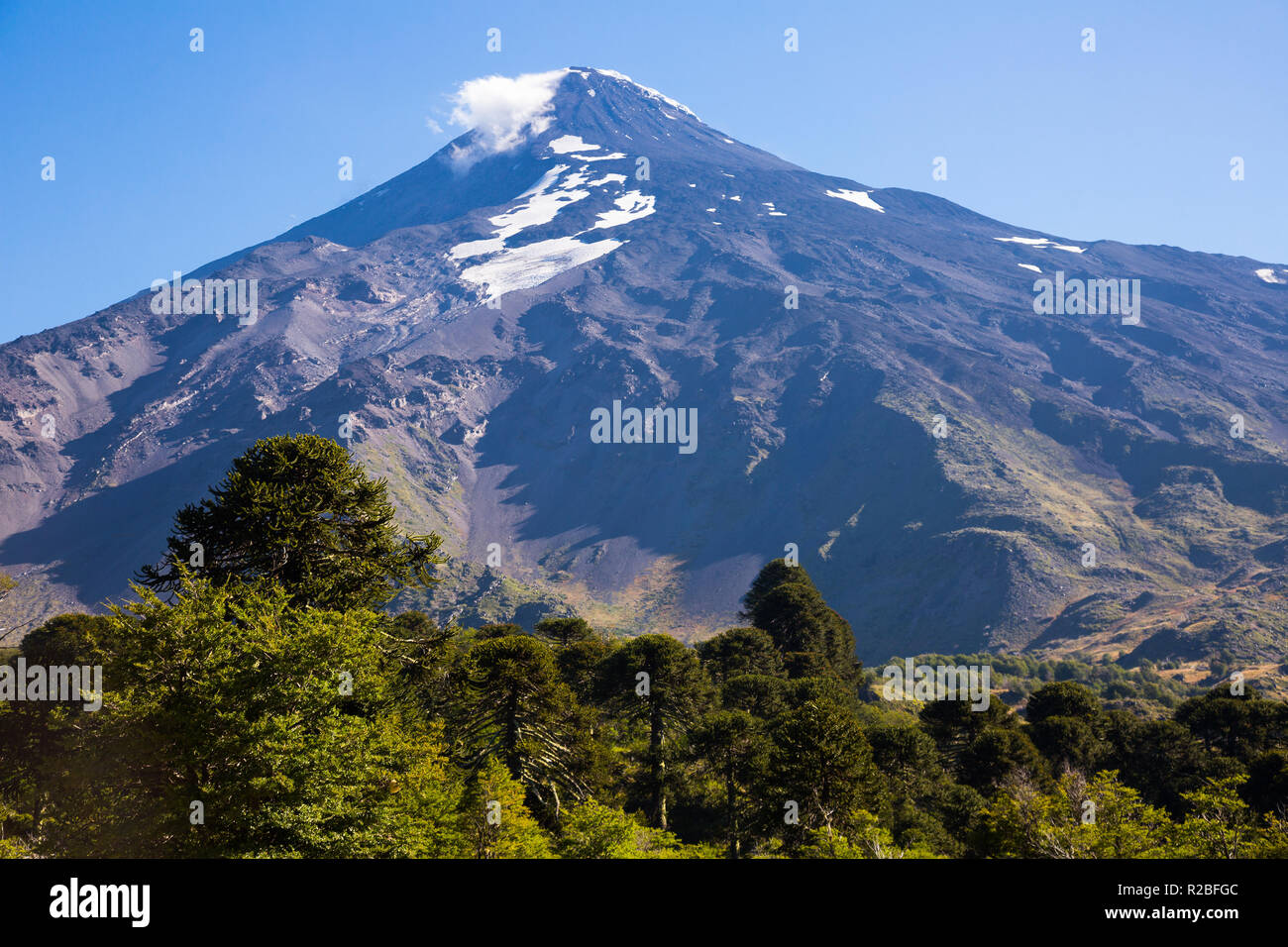 View from foothill valley to Lanin Volcano near border with Chile ...