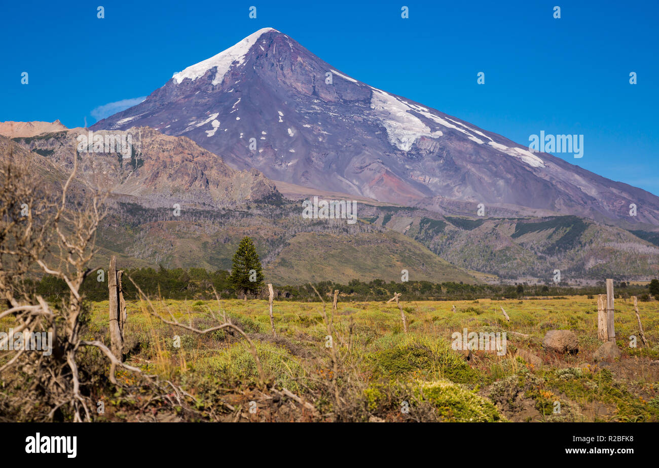 View on Lanin volcano in Patagonian Andes on the border of Argentina ...