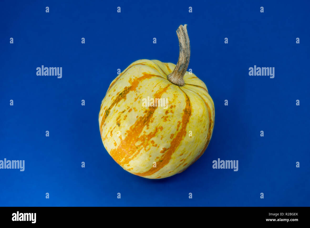 Rind Autumn Stock Photos & Rind Autumn Stock Images - Alamy