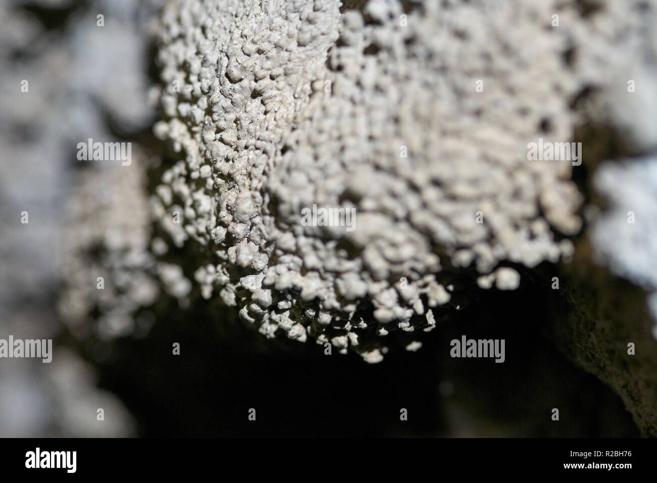 Closep of coralloid formations on the walls of a cave (a.k.a. cave ...