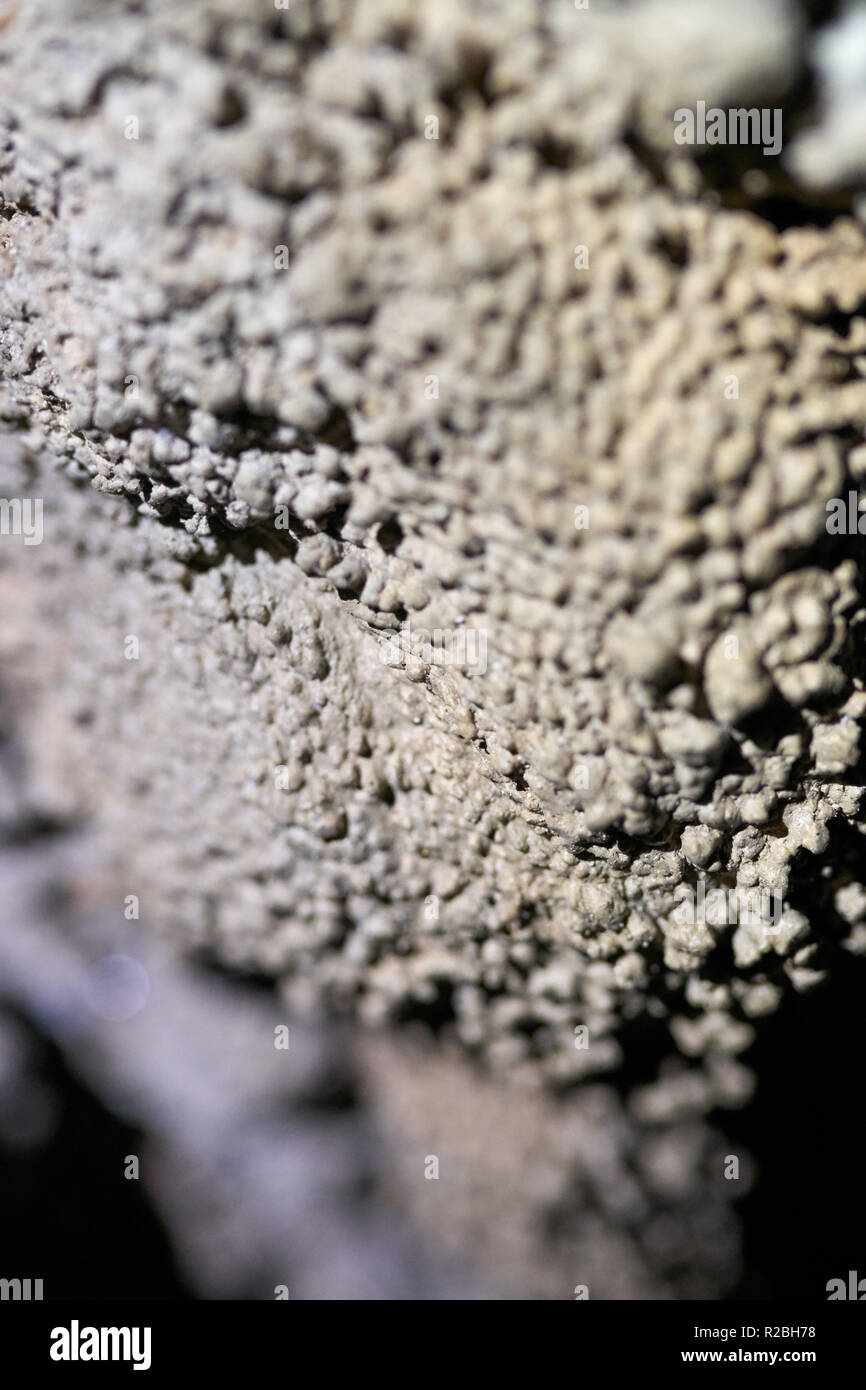 Closep of coralloid formations on the walls of a cave (a.k.a. cave ...