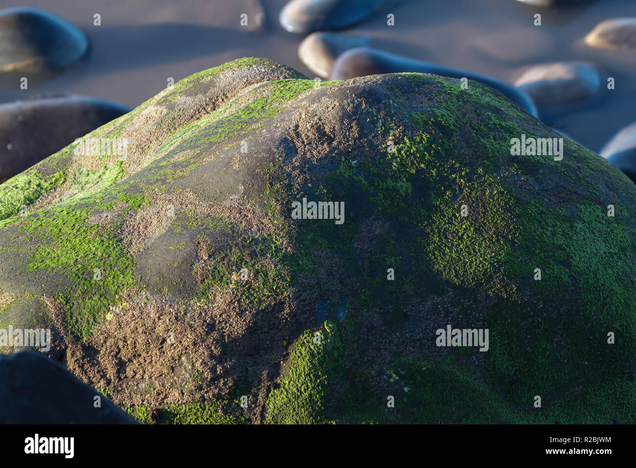Large grey stone pebbles on Westward Ho! beach in Devon Stock Photo - Alamy