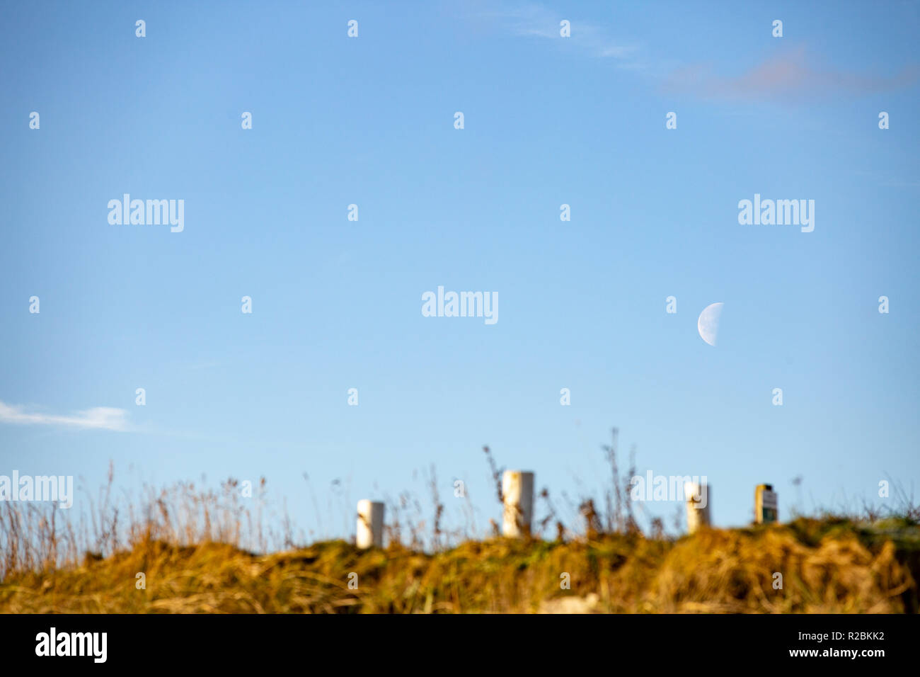 Moon during daytime hi-res stock photography and images - Alamy