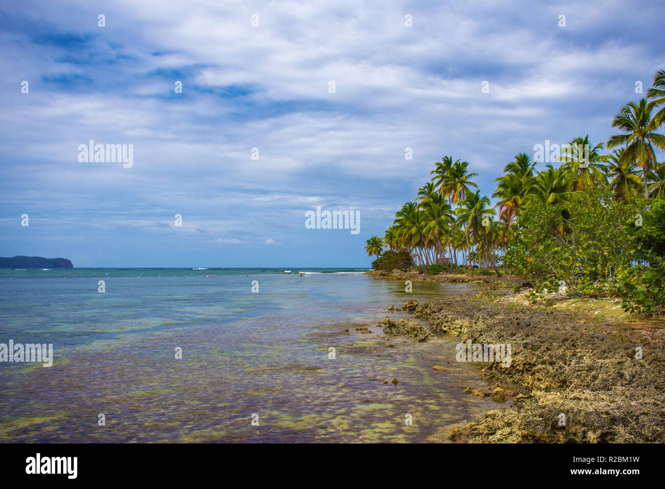 Tropical landscape: ocean, palm trees, sky with white clouds. Samana ...