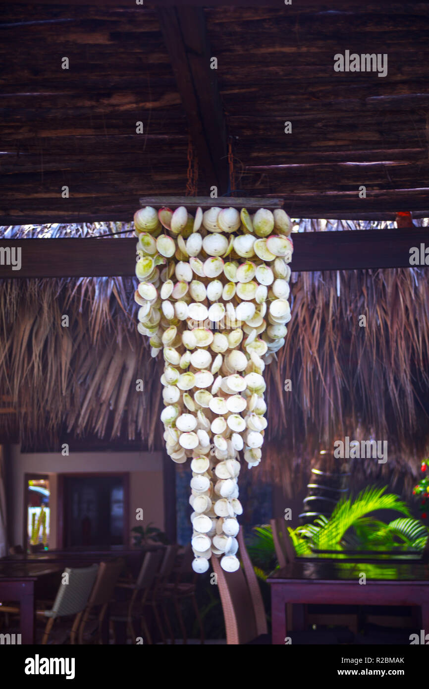 decorations made from white sea shells under the wood roof in cafe ...