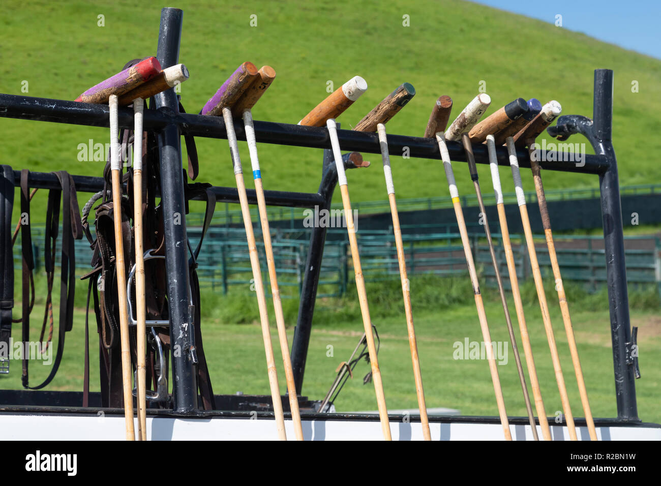 Polo mallet hi-res stock photography and images - Alamy