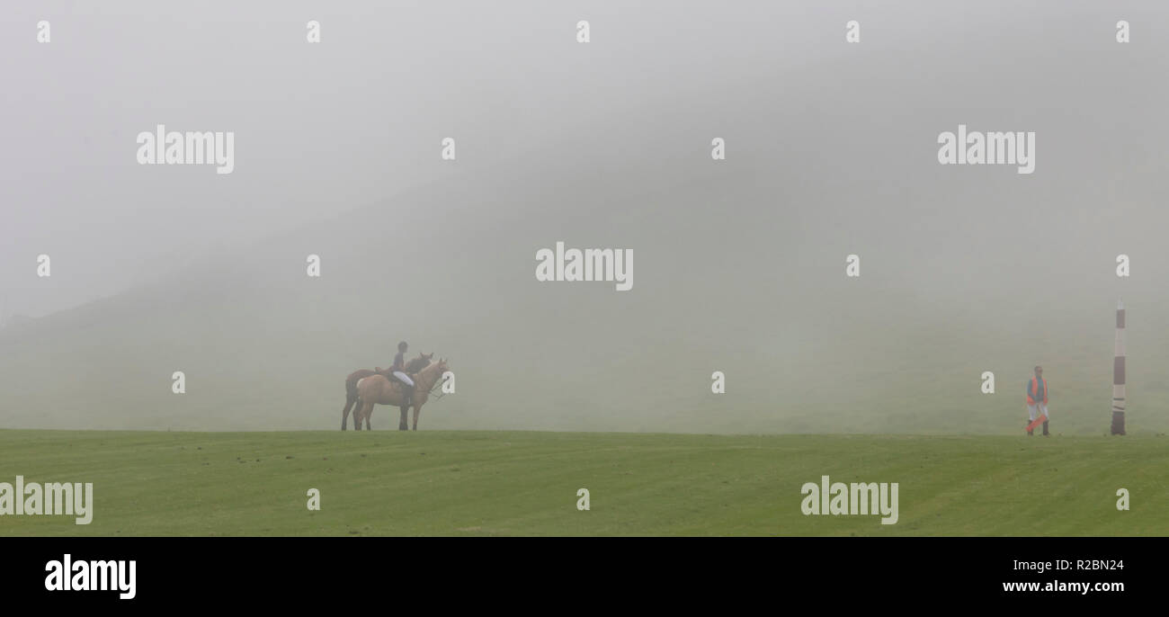 Waikii, Hawaii - A rider leads a second polo pony before a match at the ...