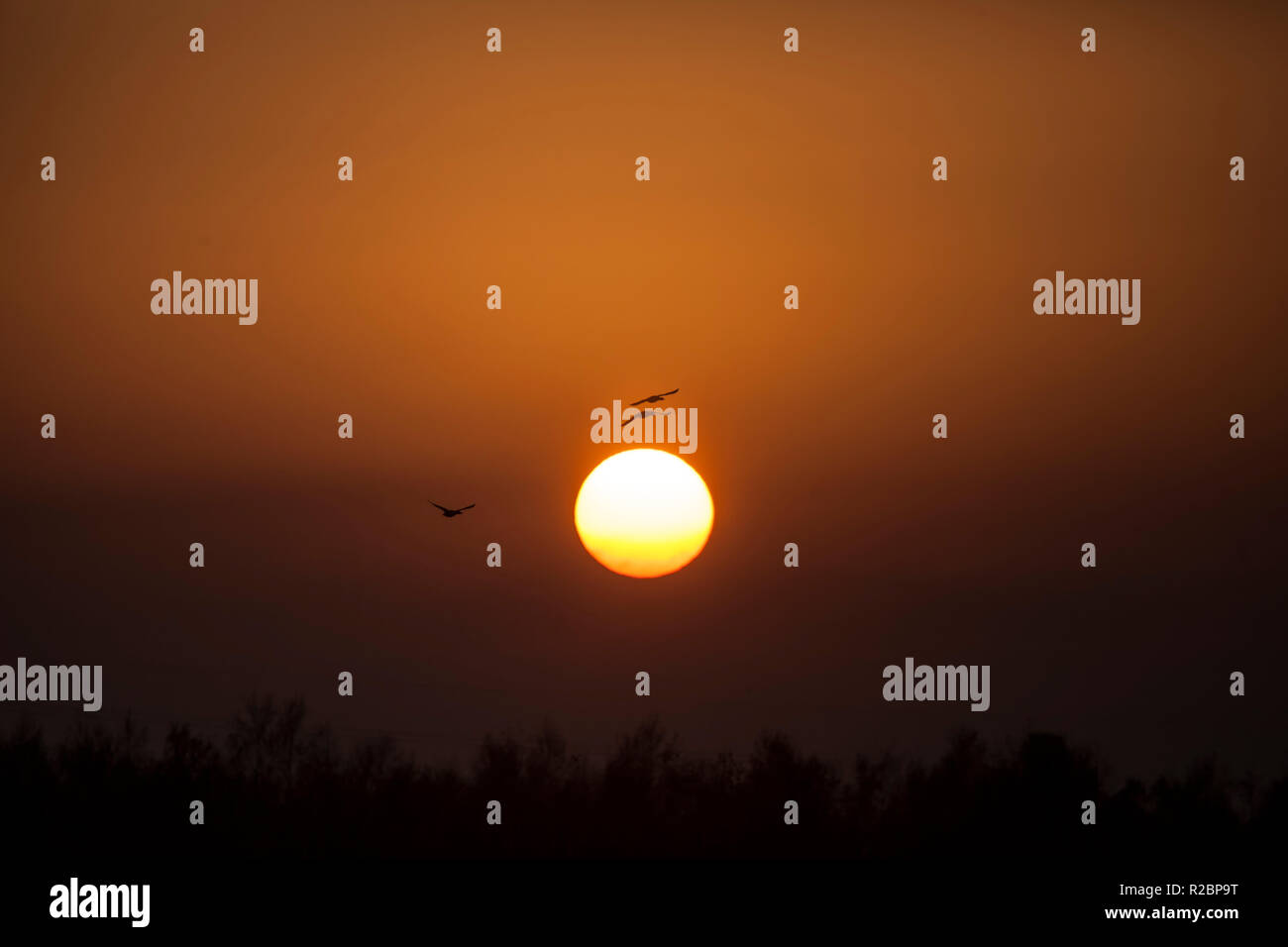 Fairburn ings nature reserve hi-res stock photography and images - Alamy