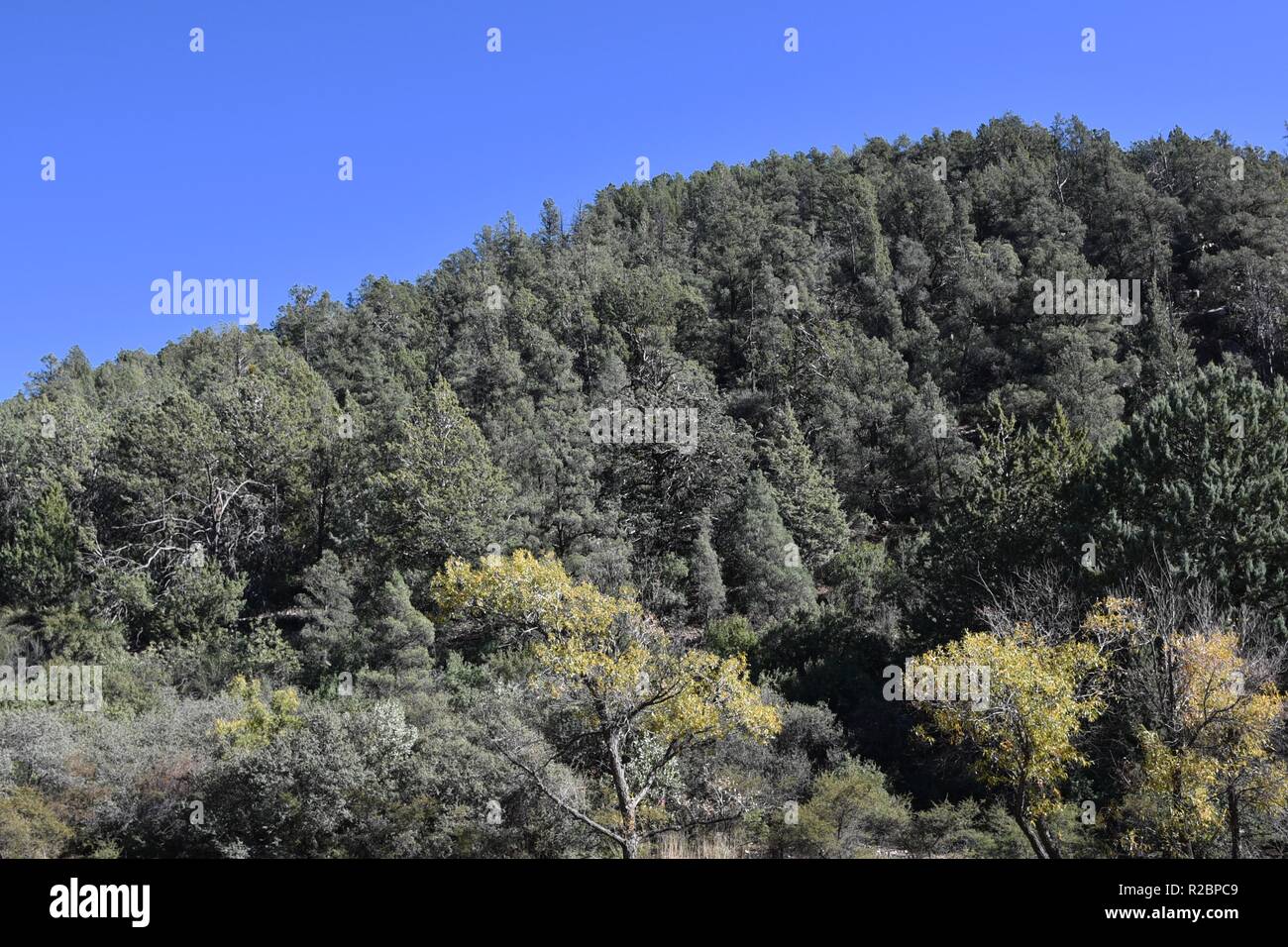 Views at Tonto Natural Bridge State Park in Payson Arizona Stock Photo ...