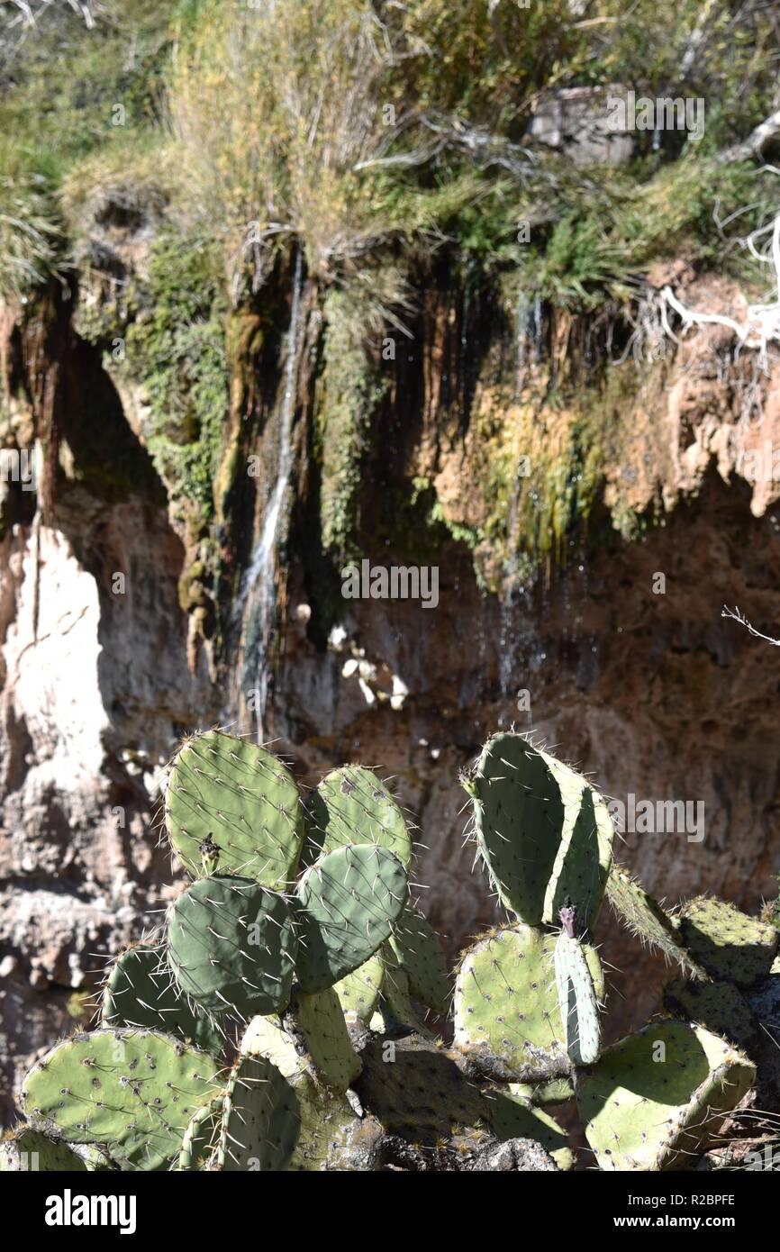 Views at Tonto Natural Bridge State Park in Payson Arizona Stock Photo ...