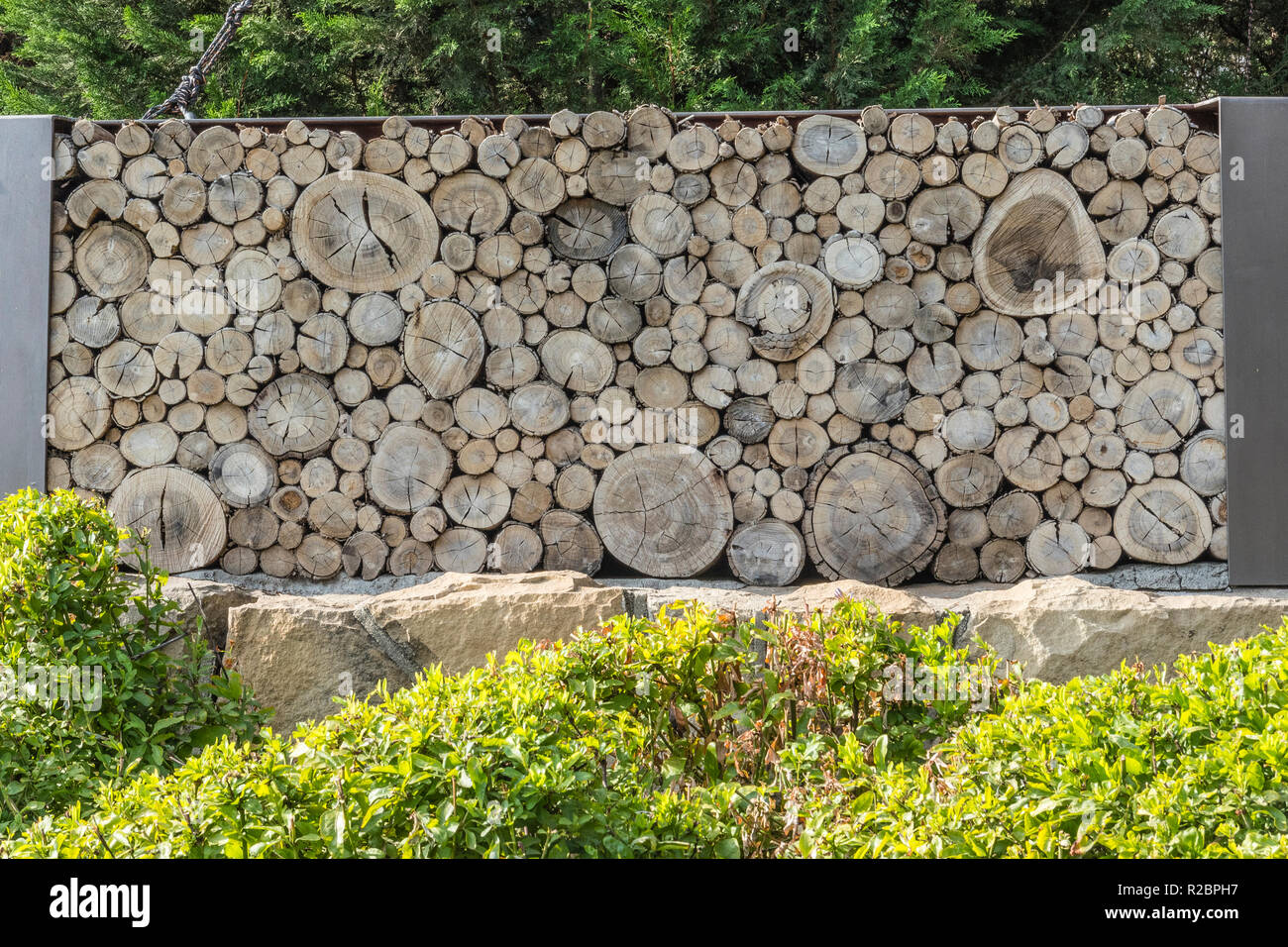 Cut tree trunk and branch wall made up of horizontal logs creating a ...