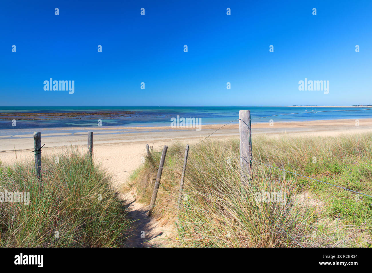 Ile de Rée- Beach exit with grass sand and sea at the horizon Stock ...