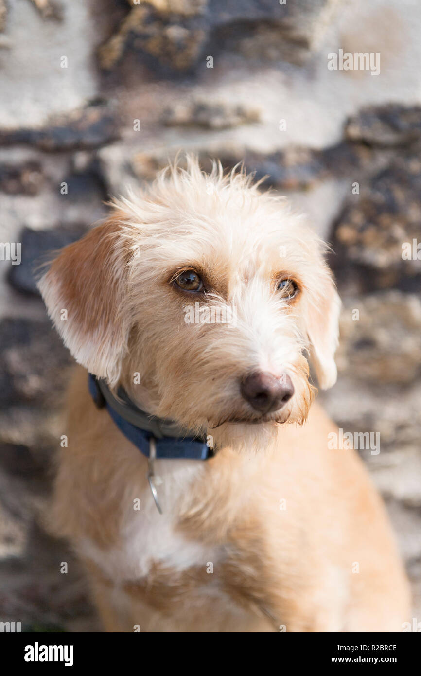 Portrait outdoor little cross hi-res stock photography and images - Alamy