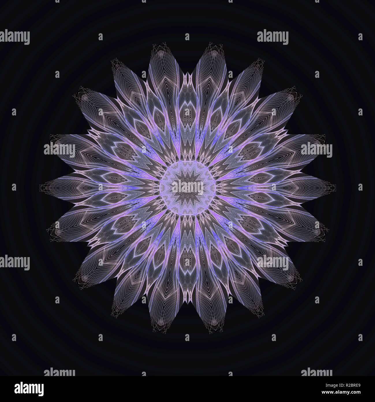A Star or Flower Mandala in Gray and Purple Stock Photo - Alamy
