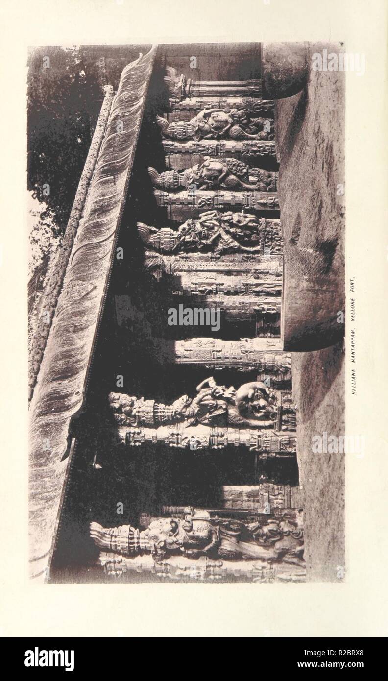 North arcot hi-res stock photography and images - Alamy