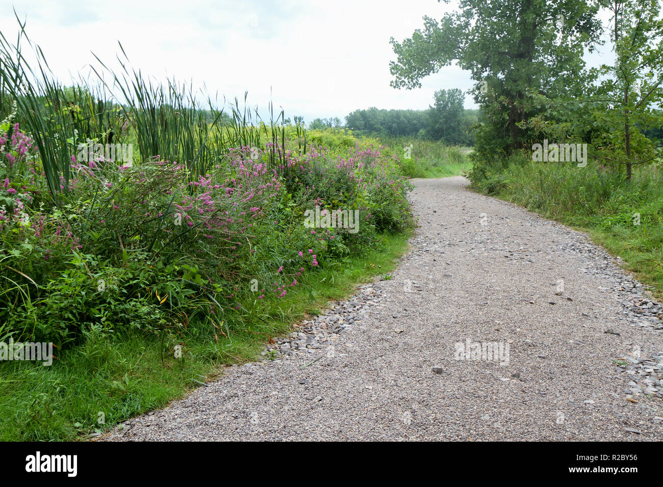 A path on the grounds of the Ethan Allen Homestead, Burlington, Vermont ...