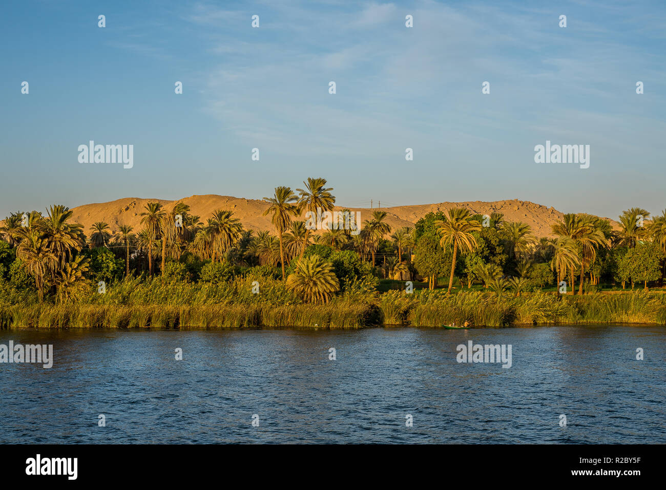 The river Nile with green banks and palms and the yellow desert behind ...