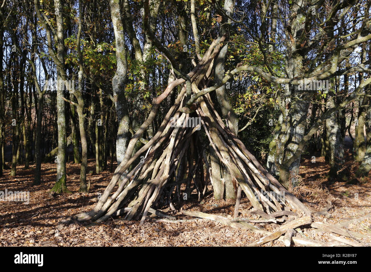 Log shelter hi-res stock photography and images - Alamy