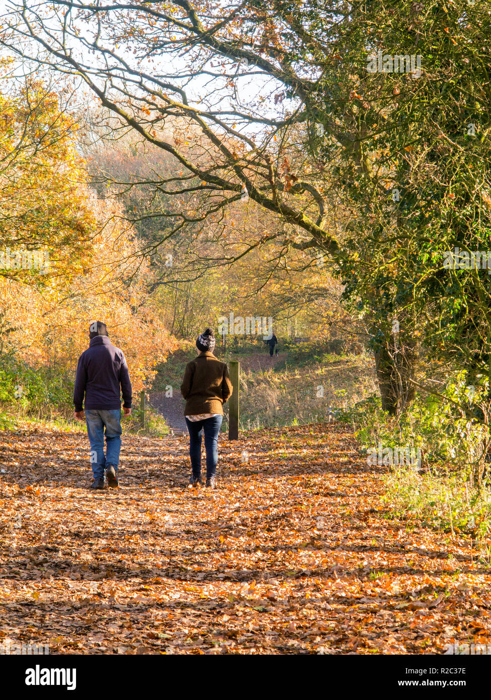 Man and woman couple walking in the Autumn sunshine through woodland in ...