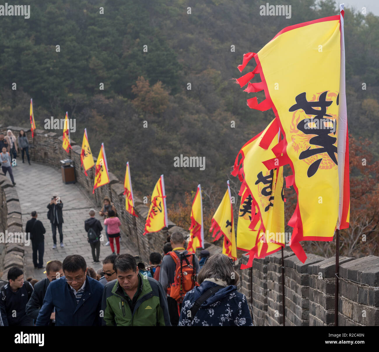 Ming Dynasty Real Flag