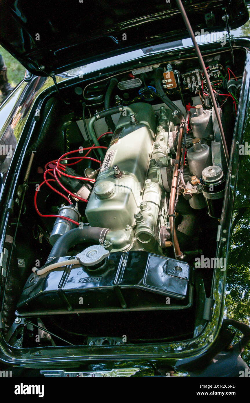 The Ford flathead V8,year of production 1939 Stock Photo - Alamy