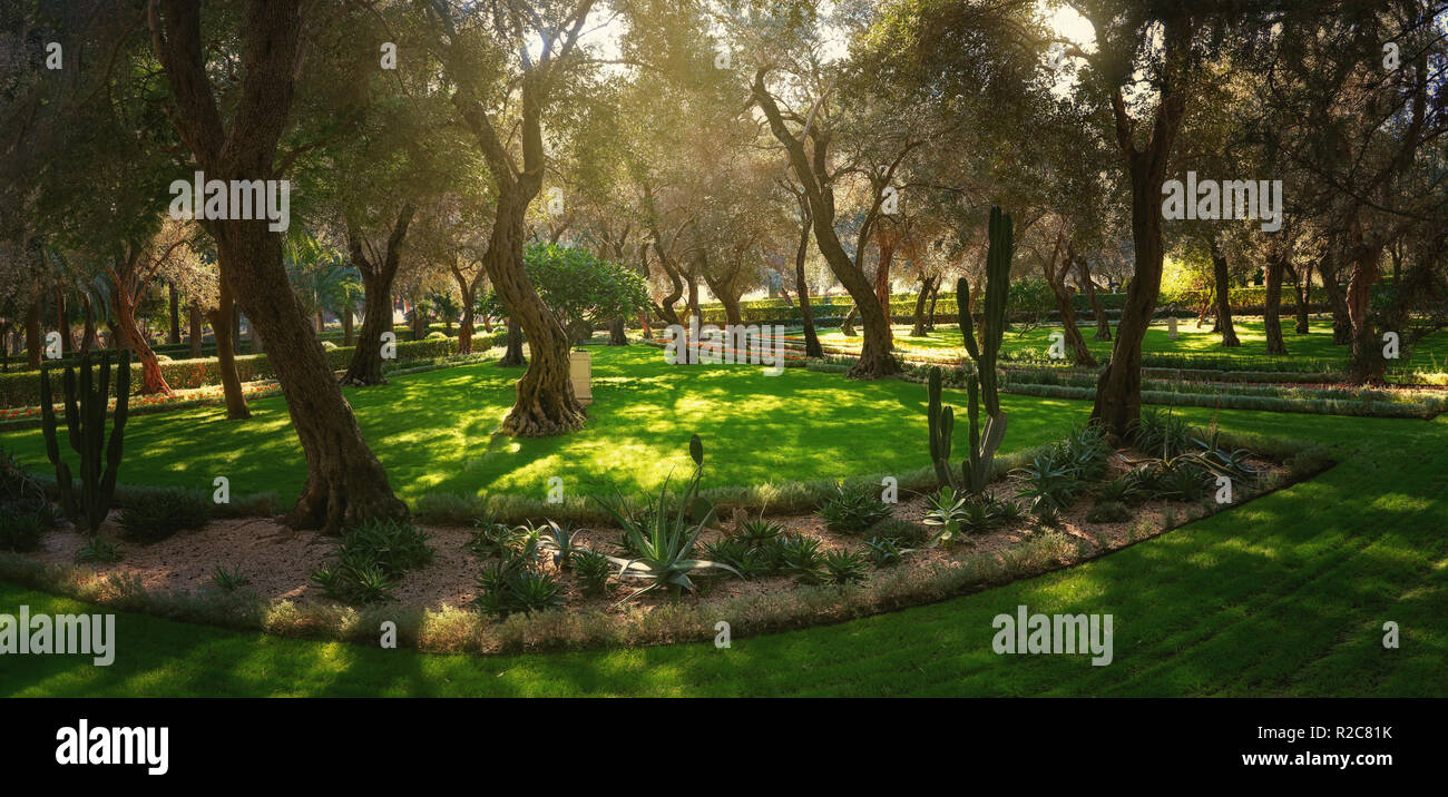 The Bahai Gardens in Haifa in Israel. It is a place where people admire ...