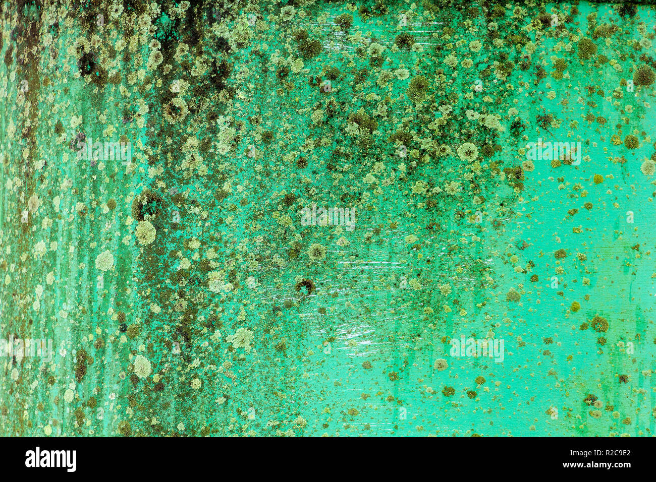 Green rusted metal with mold growth, texture - Hollywood, Florida, USA ...