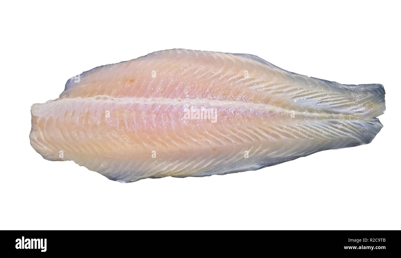 Fish slide on the white background Stock Photo - Alamy