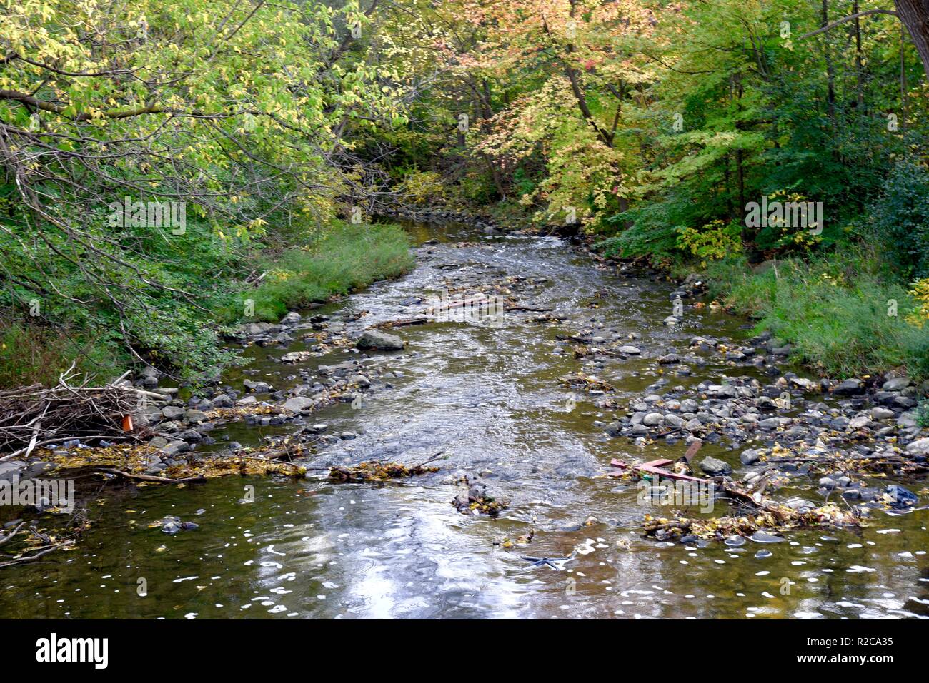 Stream of water with trees and rocks along the banks Stock Photo - Alamy