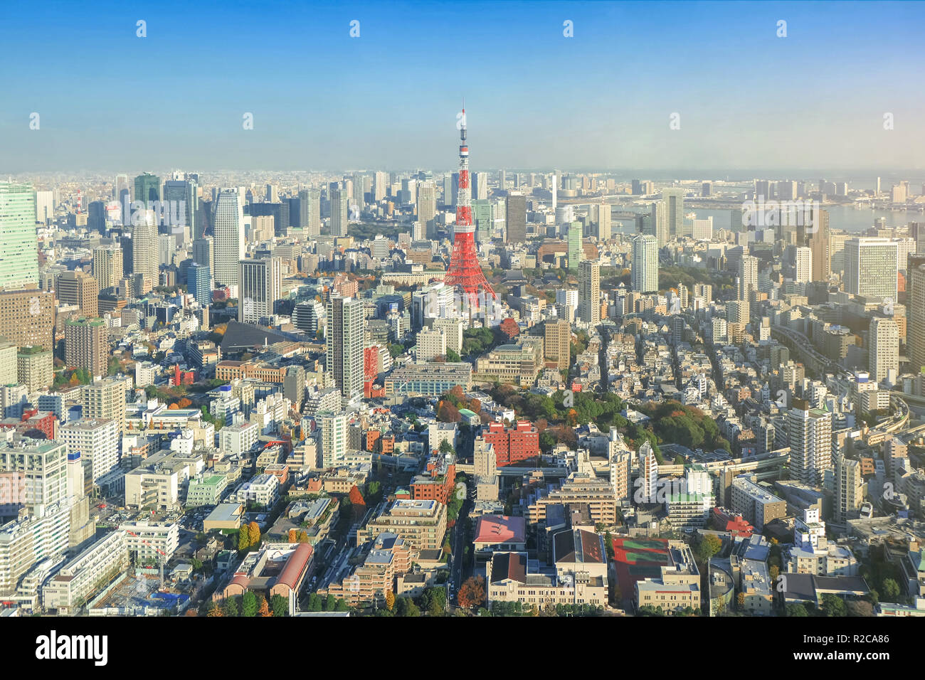 Tokyo sky line with Tokyo Tower Stock Photo - Alamy