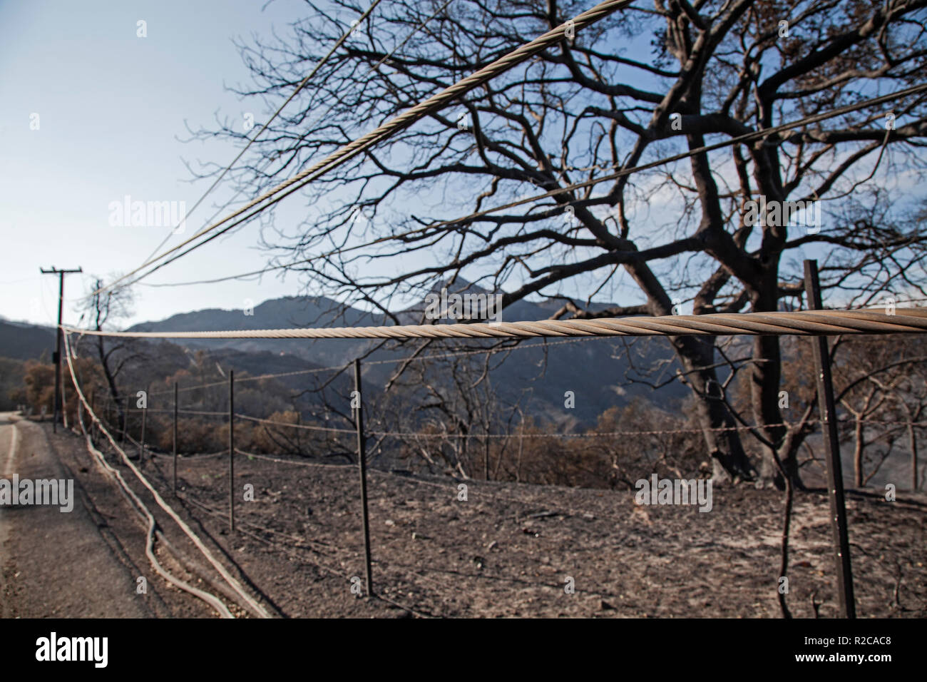 Downed power lines hi-res stock photography and images - Alamy