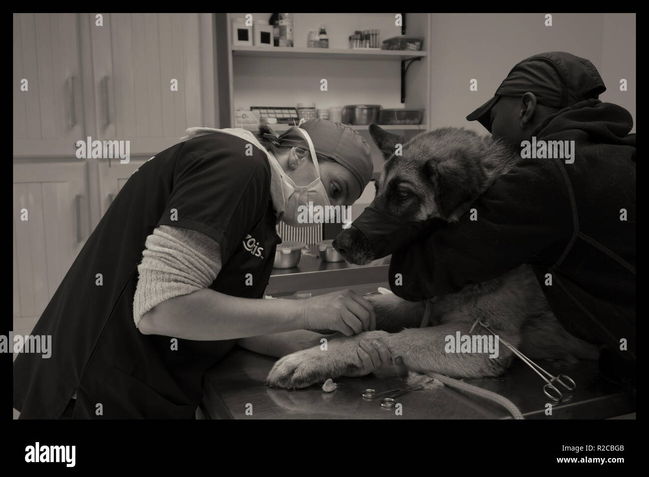 Veterinary africa hi-res stock photography and images - Alamy