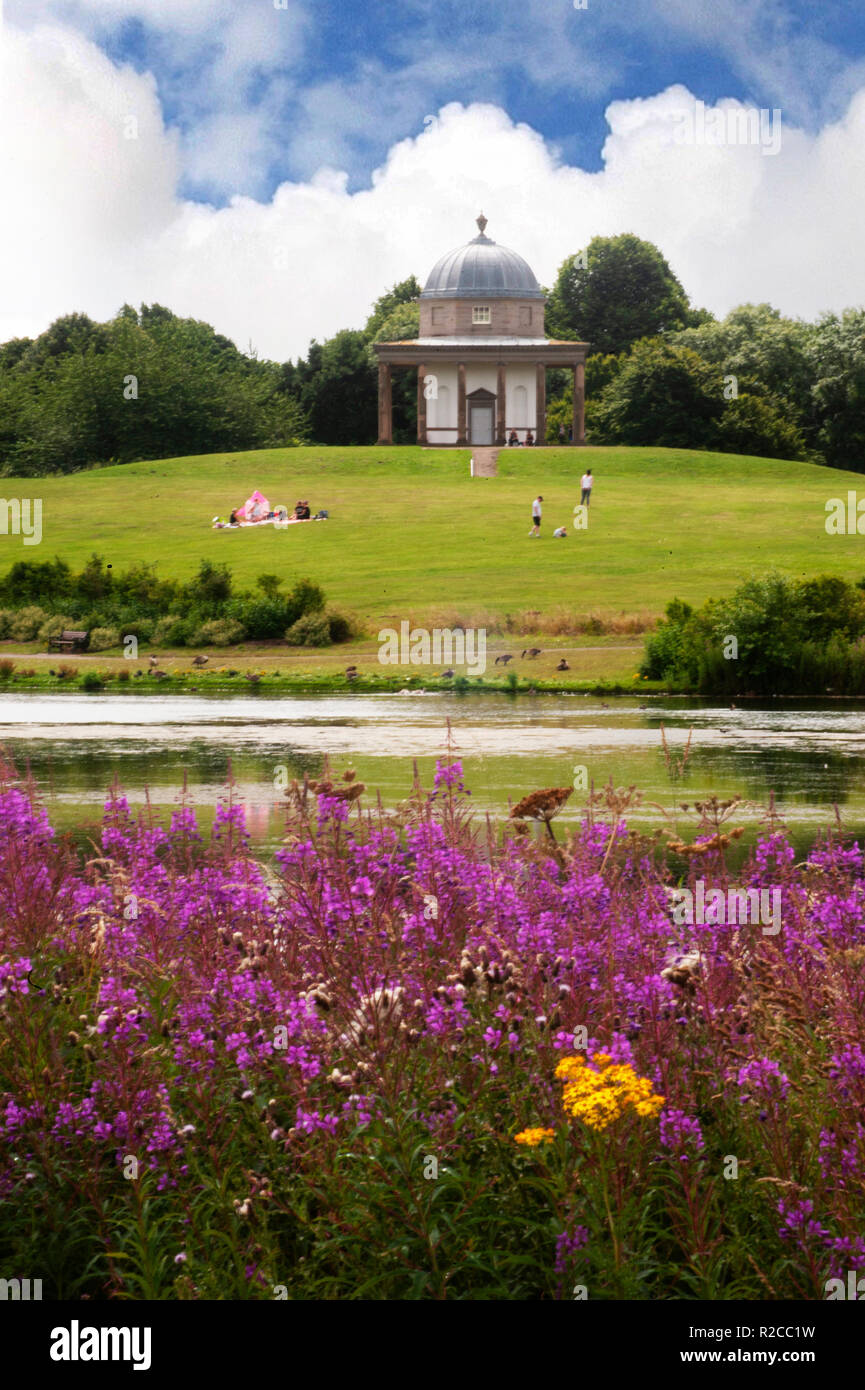 Hardwick park wildlife hi-res stock photography and images - Alamy