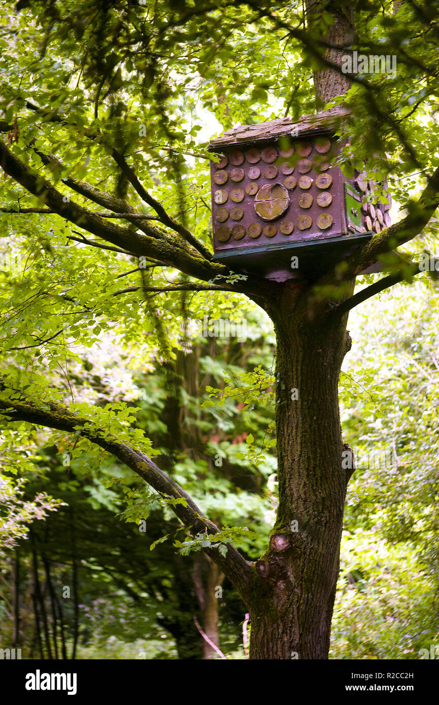 Ornate bird box in tree,Hardwick Park, County Durham Stock Photo - Alamy