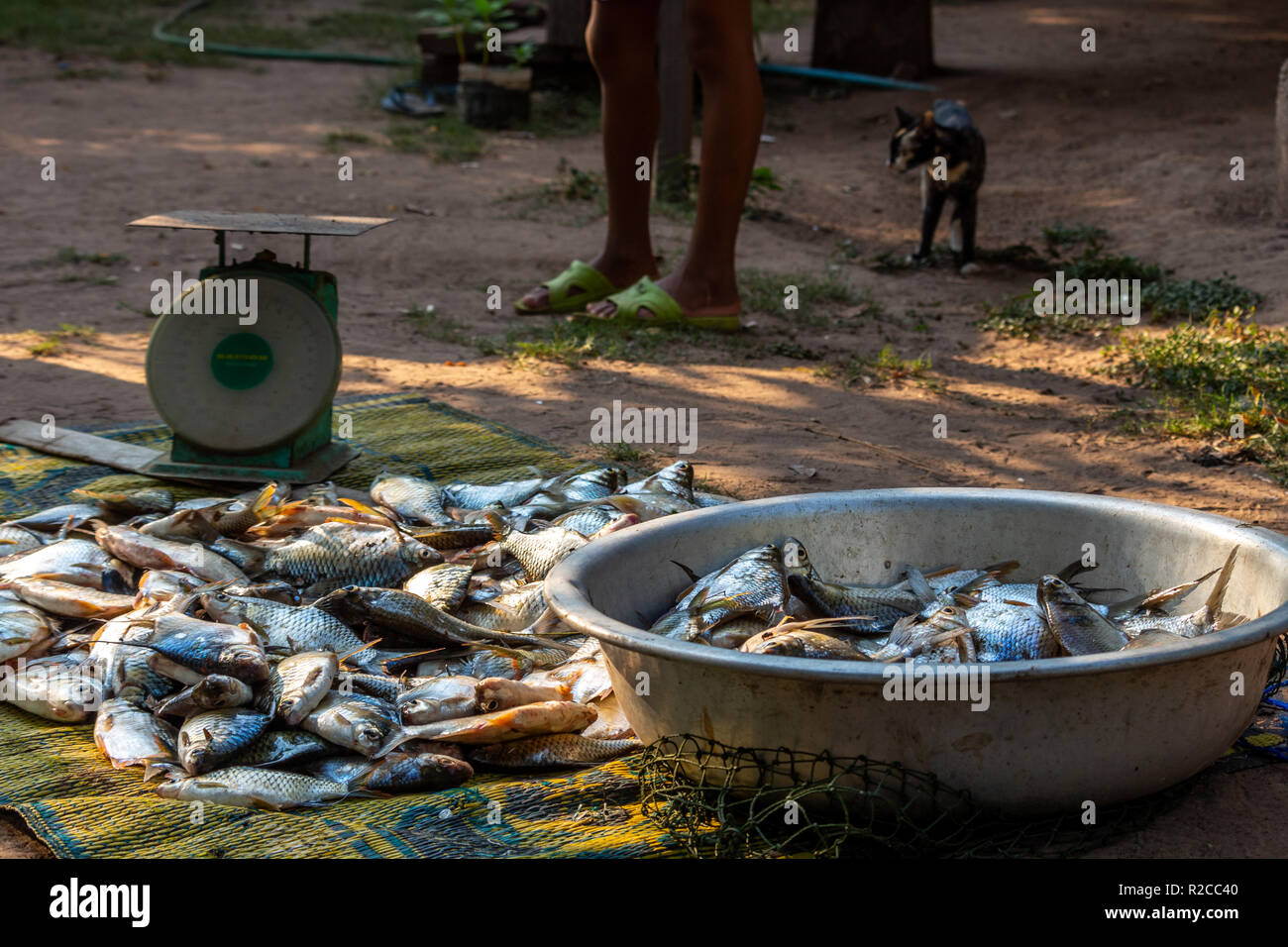 Exposed ocean floor hi-res stock photography and images - Alamy