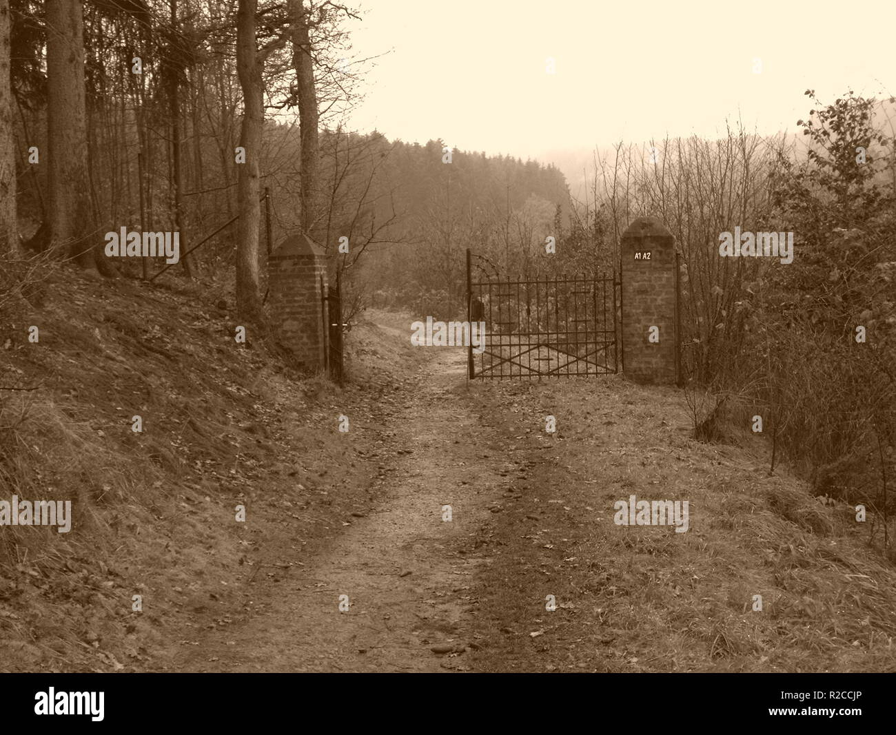 the lone gate Stock Photo - Alamy