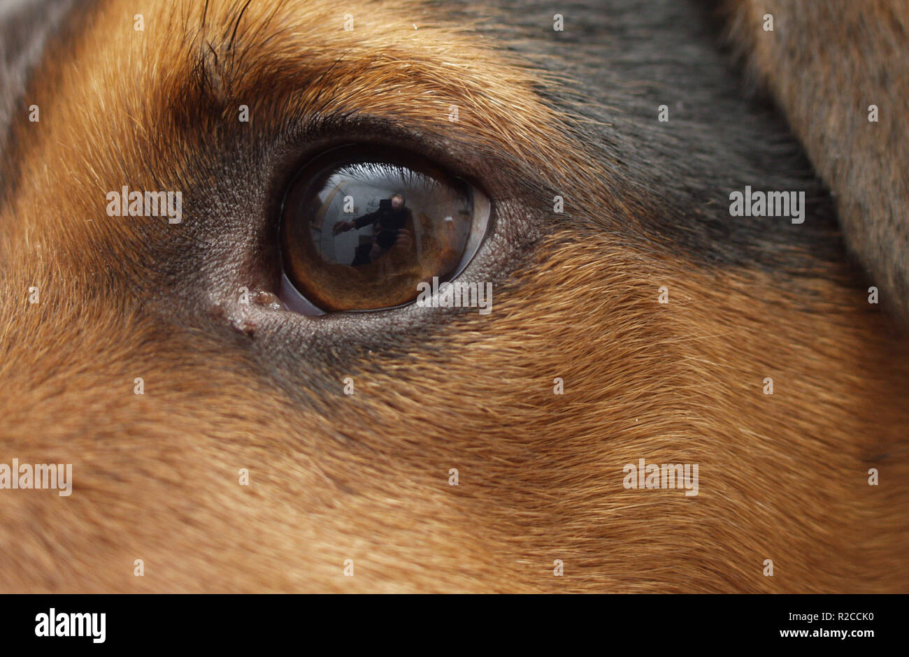 Bodos hi-res stock photography and images - Alamy