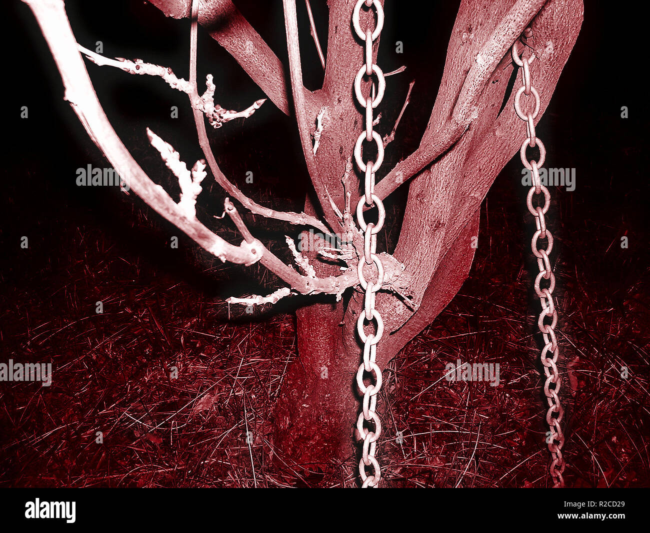 tree in chains Stock Photo - Alamy