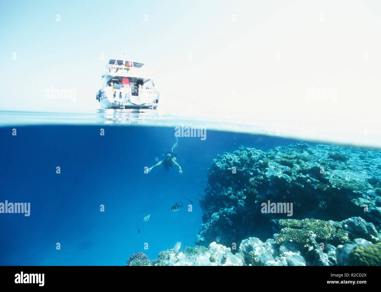 Coral sea waterworld hi-res stock photography and images - Alamy
