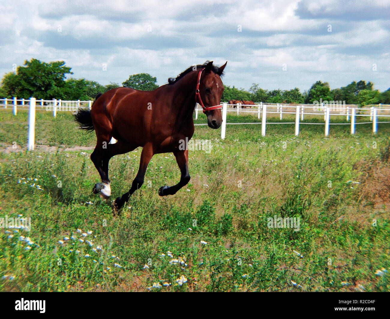 Who is faster hi-res stock photography and images - Alamy