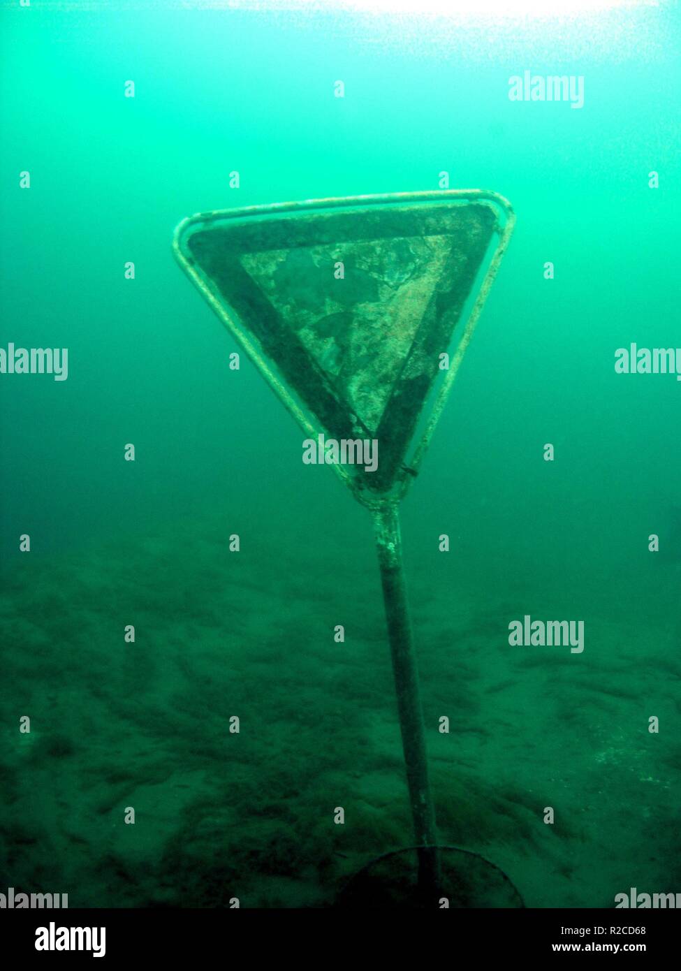 Rapt Attention High Resolution Stock Photography and Images - Alamy