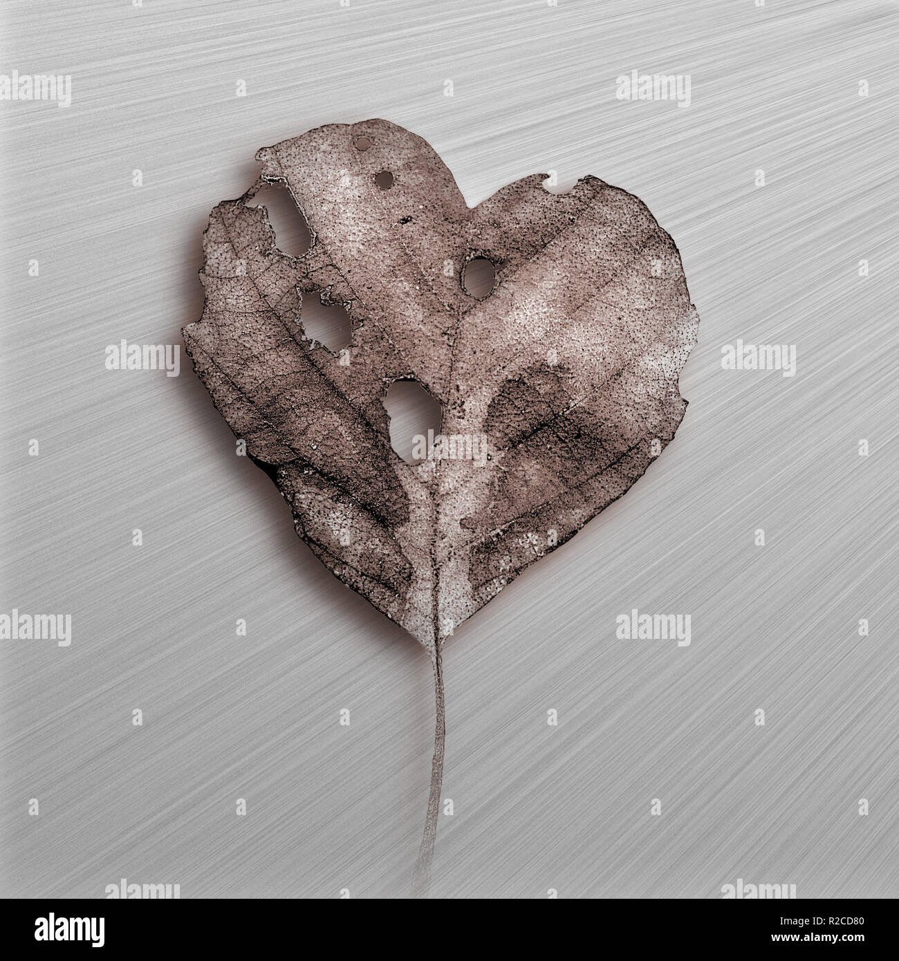 Deep scars hi-res stock photography and images - Alamy