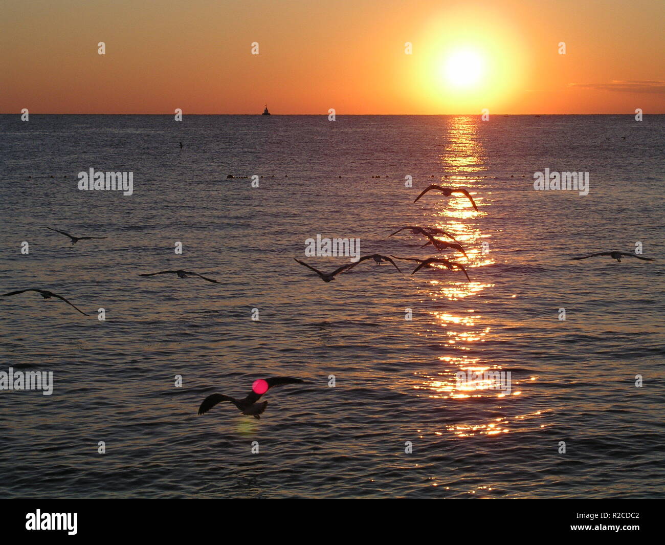 fly into the sunset Stock Photo - Alamy