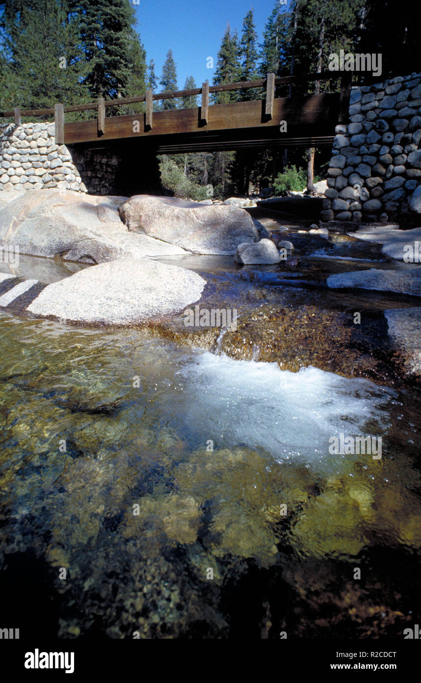 Sequioa National Park High Resolution Stock Photography and Images - Alamy