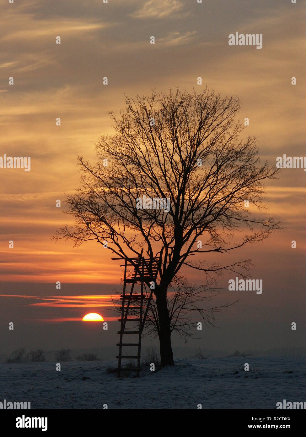 Celestial ladder hi-res stock photography and images - Alamy