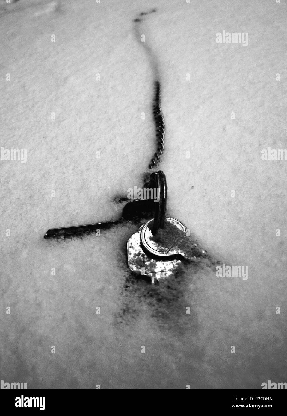 lost in the snow Stock Photo - Alamy